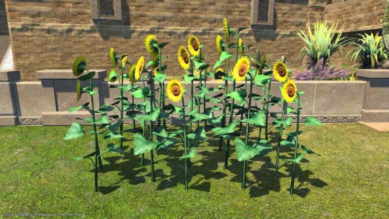 「サンフラワーガーデン -Sunflower Plot-」の詳細紹介｜FF14ハウジング家具データベース|HOUSING COLLECTION